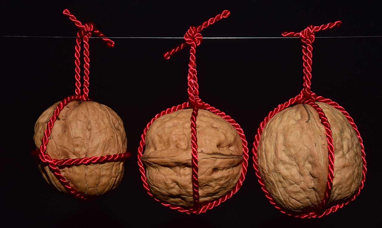 Mother Nature Approved Christmas Decorating Inspirations – Starrcreative.ca