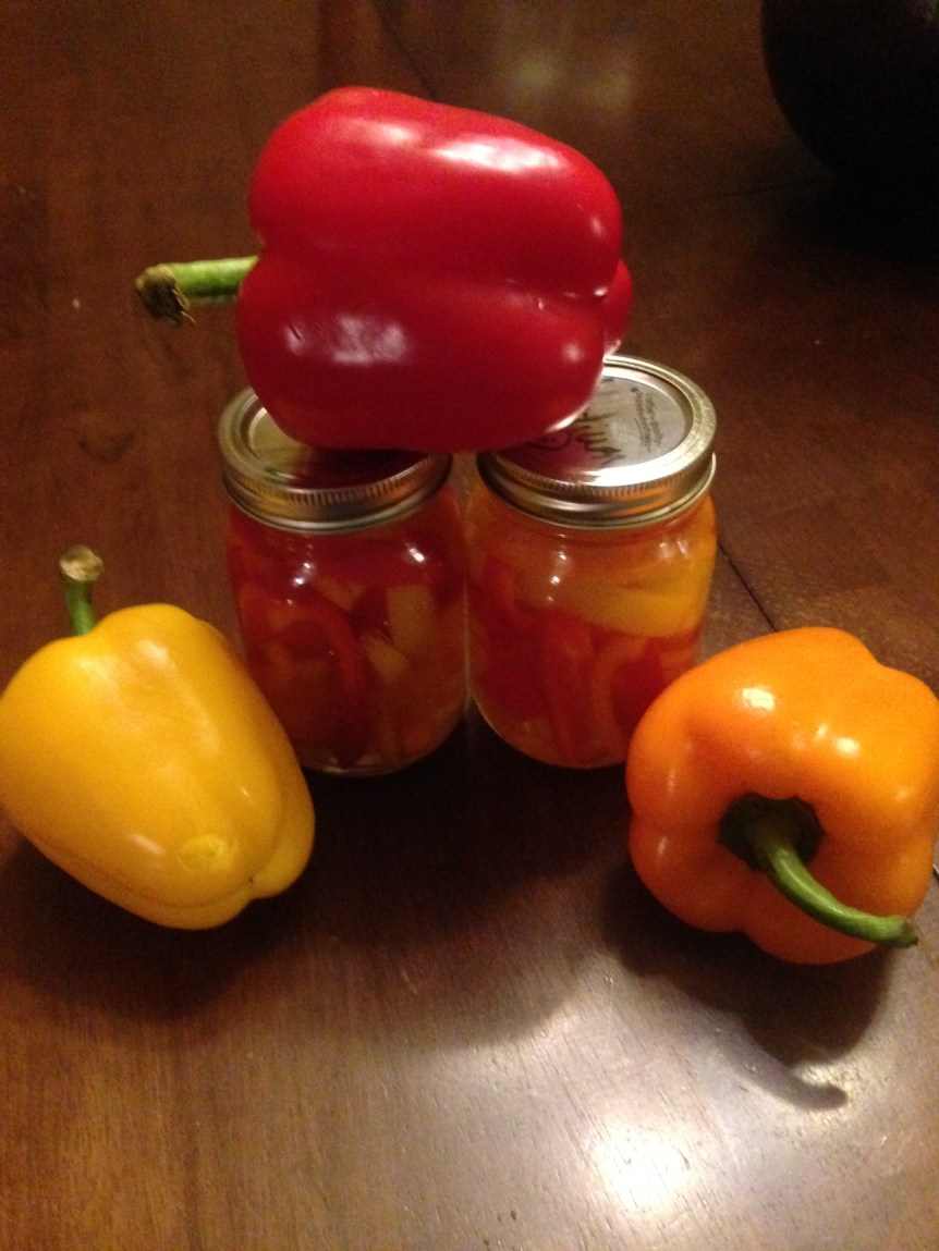Quick and Easy Pickled Bell Peppers – starrcreative