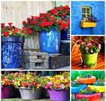 25 Creative Ways to Add Color to Your Outdoor Space – starrcreative