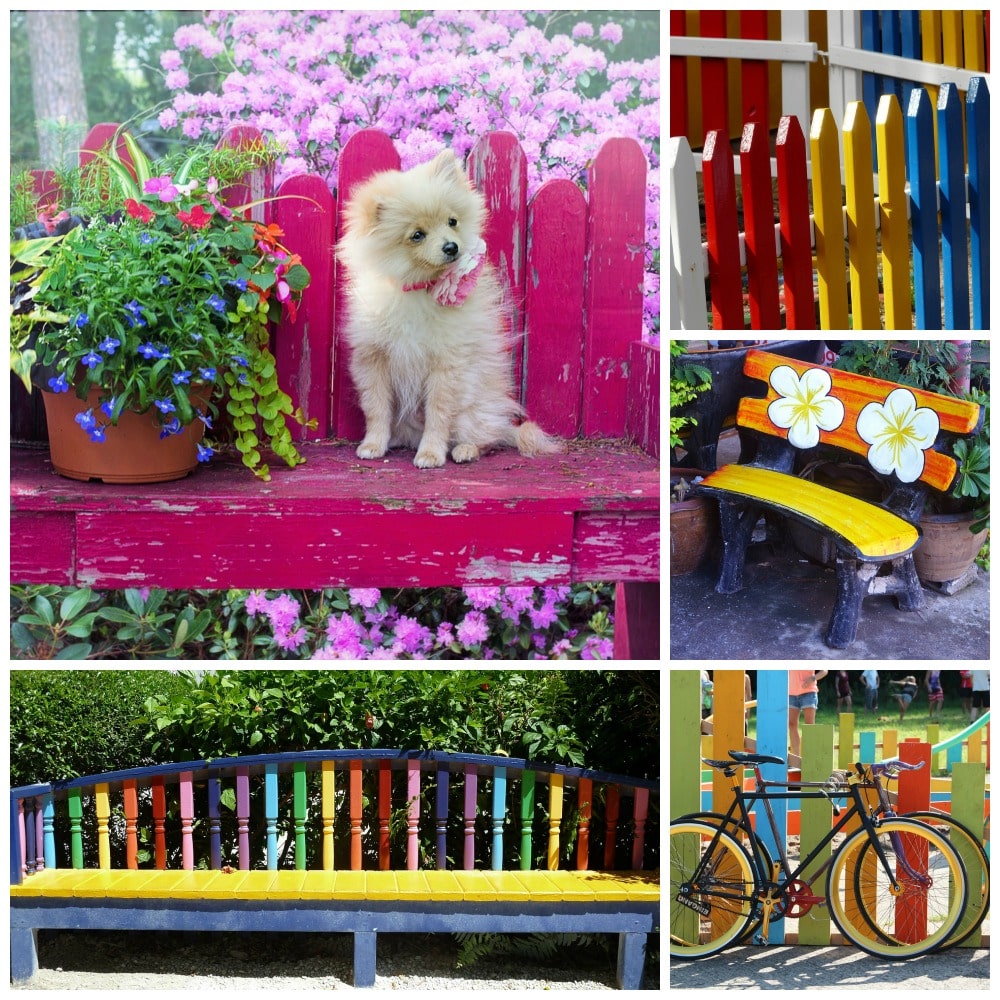 25 Creative Ways to Add Color to Your Outdoor Space – starrcreative